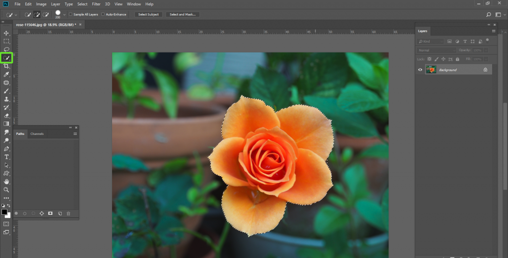 How To Cut Out Anything Using Adobe Photoshop And Its Tools?