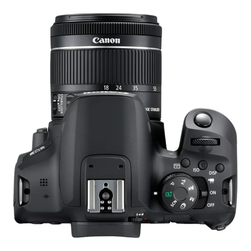 Which DSLR is Good for Beginners?
